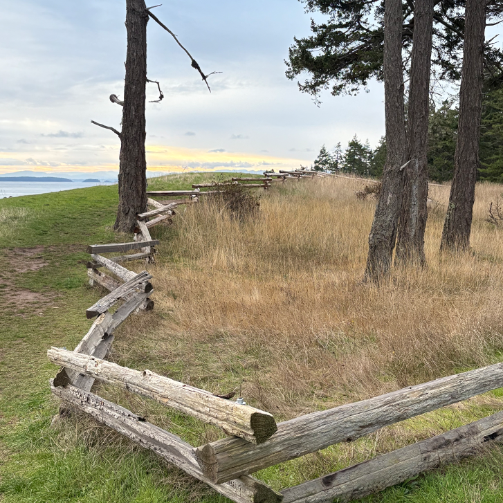 48 Hours: A Cozy Coastal Getaway to Pender Island - BC Living